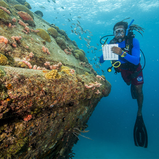 Medik8 X PADI AWARE Foundation